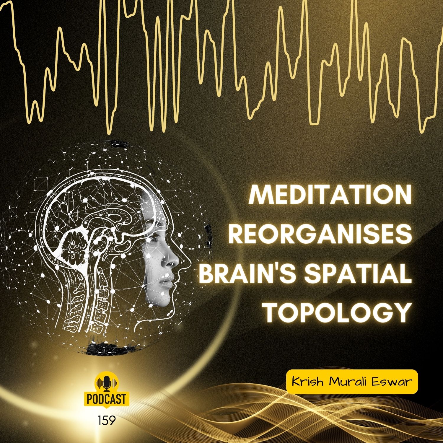 Meditation Reorganises Brain’s Spatial Topology: How Does This Affect ...